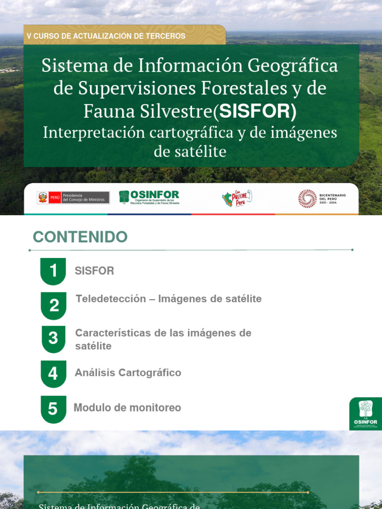 Taller Pucallpa SISFOR | PDF | Sensores remotos | Datos geográficos e ...