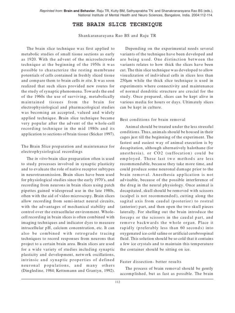 The Brain Slice Technique | PDF | Action Potential | Brain