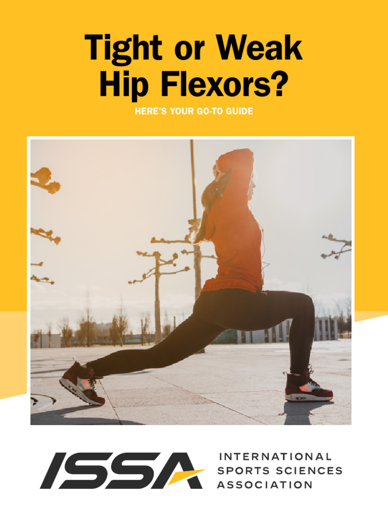 Strengthening Hip Flexors for Climbers | PDF | Musculoskeletal System ...