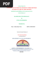 Sanitary Defects | PDF | Hexapoda | Insects And Humans