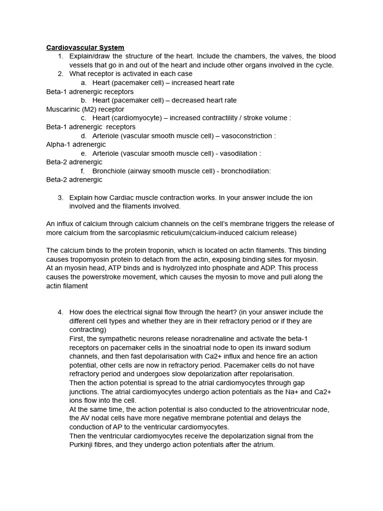 Cardiac Cycle Notes | Download Free PDF | Cardiac Muscle | Heart