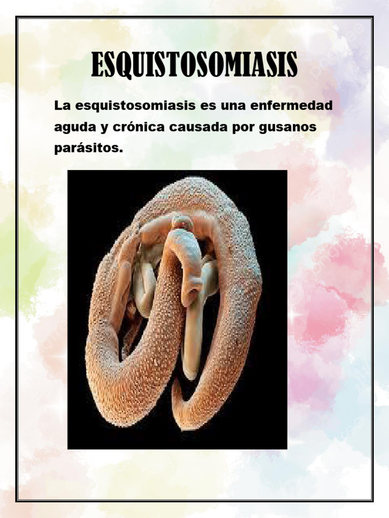 esquistosomiasis-s-ntomas-y-tratamiento-pdf-enfermedades-y