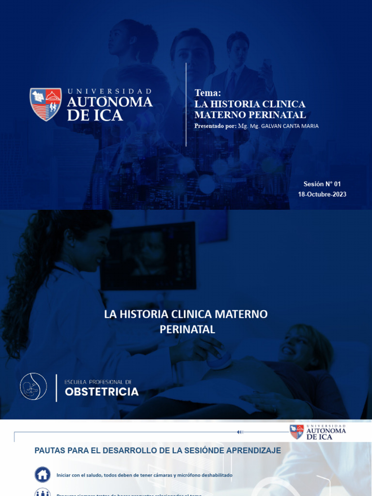 Historia Clinica Perinatal | PDF | El embarazo | Parto