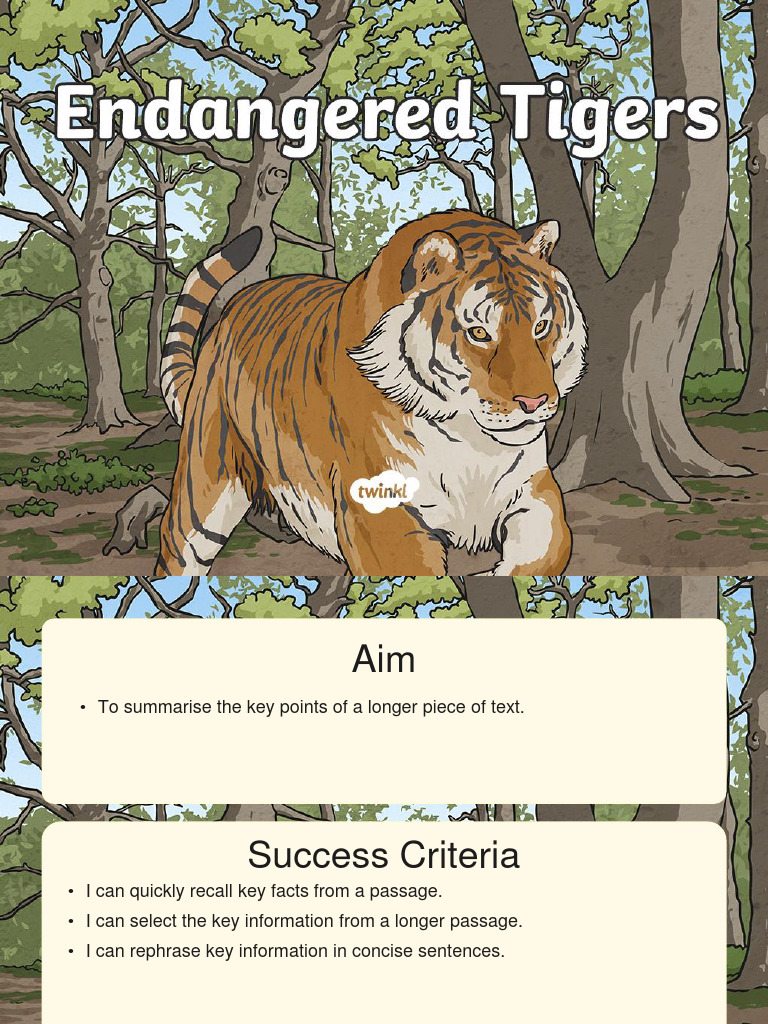 Writing Planning - Workbook | PDF | Tiger | Linguistics