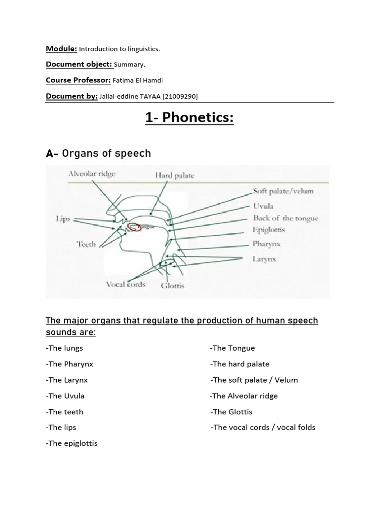 Introduction To Linguistics Summary (Complete) | PDF | Phoneme | Syllable