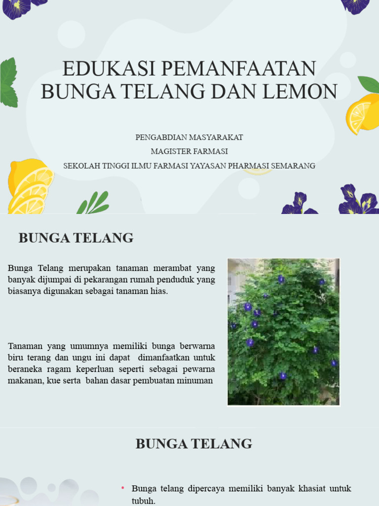 Pemanfaatan Bunga Telang Dan Lemon | PDF