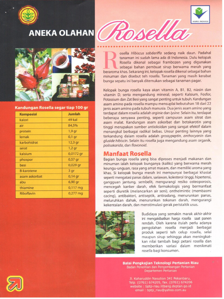 Aneka Olahan Rosella | PDF