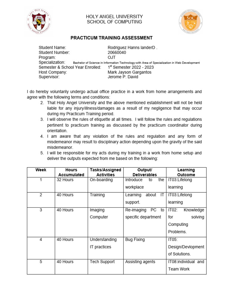 Practicum Training Assessment Report | PDF | Computing | Computer Science