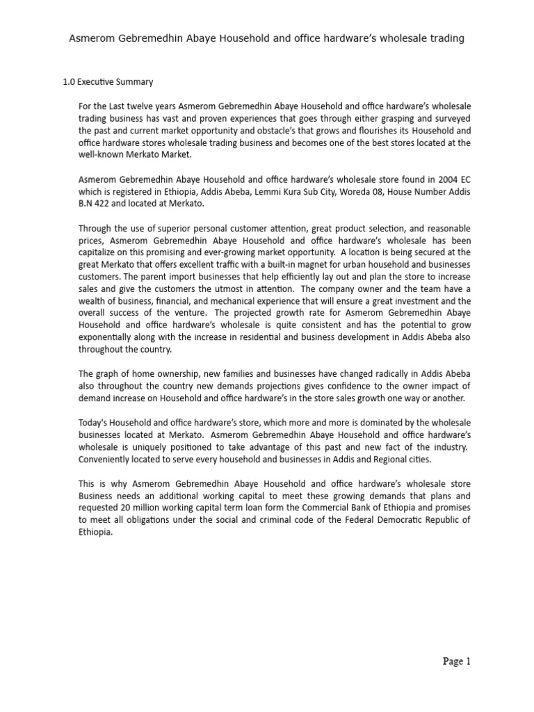 Asmerom Gebremedhin Abaye Hardware Wholesale | PDF | Balance Sheet | Retail