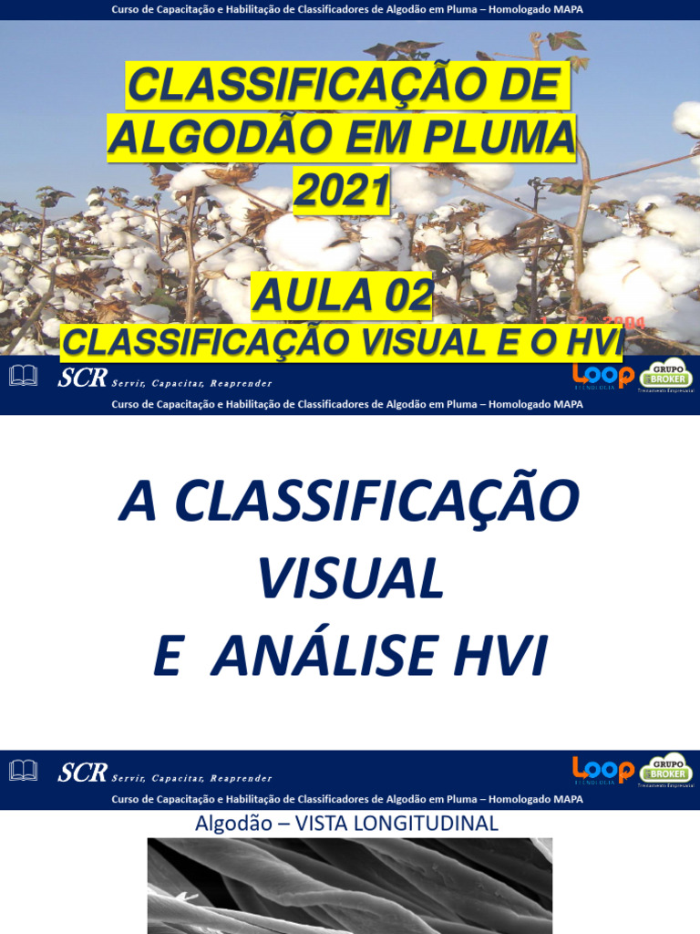 Aula 02 - A Classificacao Visual e Hvi | PDF | Algodão ...