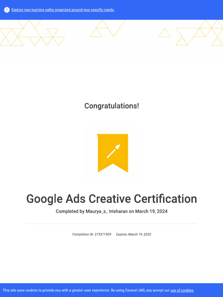 Google Creative Ads | PDF