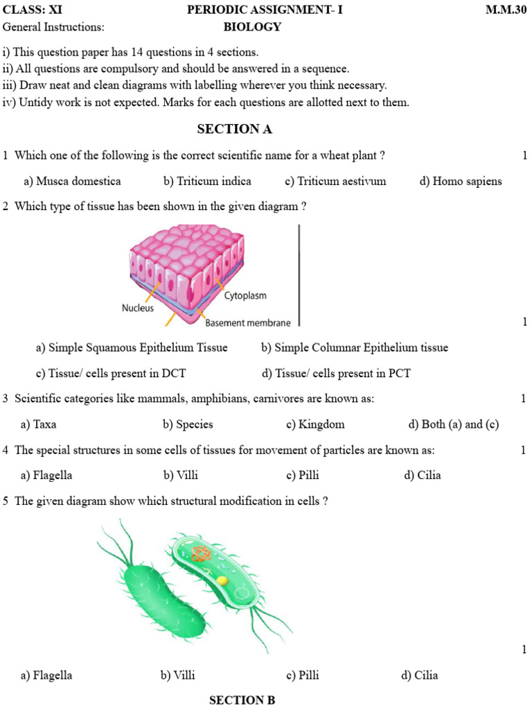 BIOLOGY XI Chapter 1 and 7 Worksheet | PDF | Epithelium | Biology