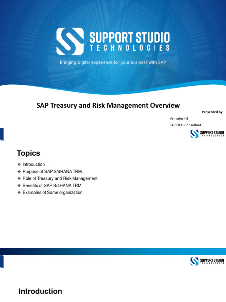 Sap Treasury and Risk Manegement Overview Presentation | PDF | Risk ...