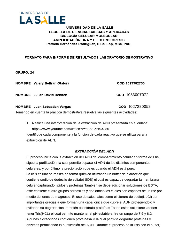Practica Adn | PDF | Reacción en cadena de la polimerasa | Primer (Biología Molecular)