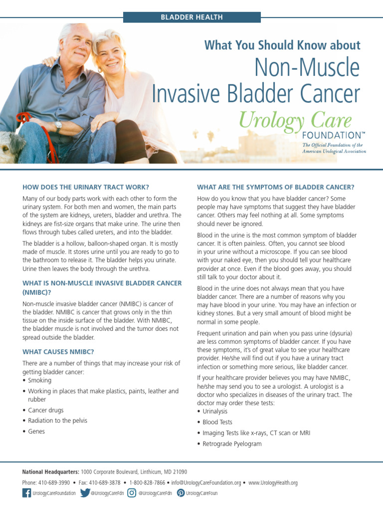 NMIBC: Understanding Bladder Cancer | PDF | Urinary System | Urine