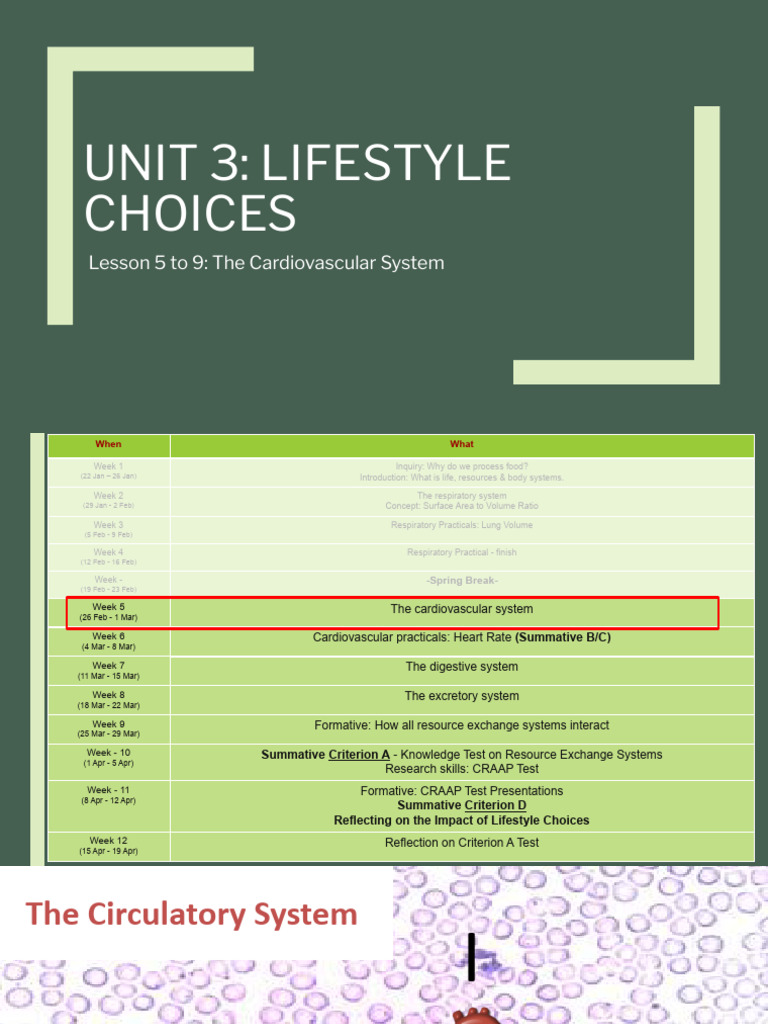 Cardiovascular System - Part 1 | PDF | Blood | Heart