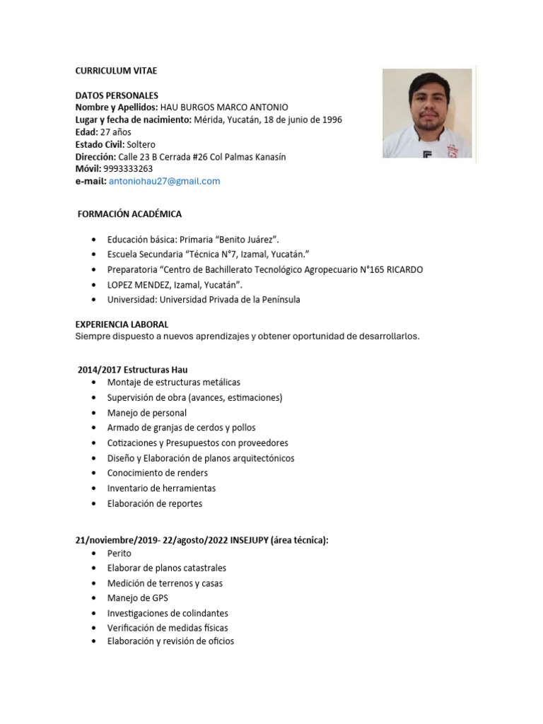 CV de Hau Burgos Marco Antonio | PDF