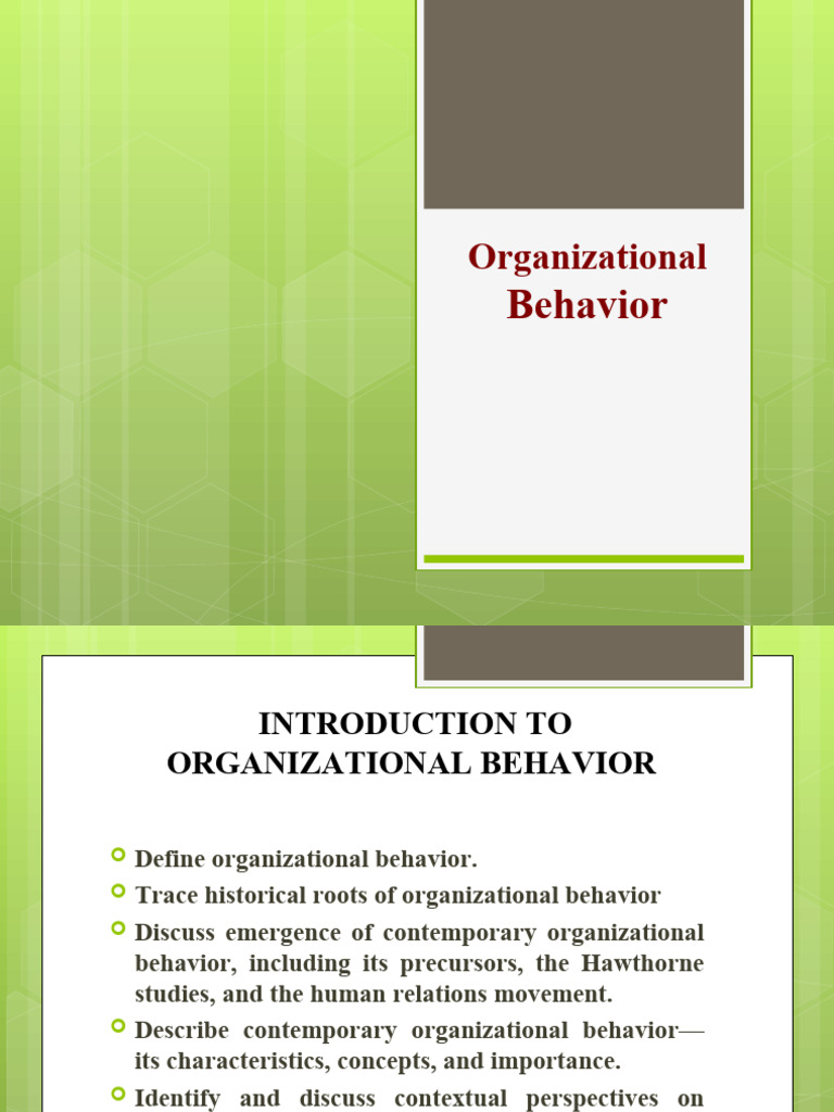 Organizational Behavior PPT 1 Ob | PDF | Organizational Behavior | System
