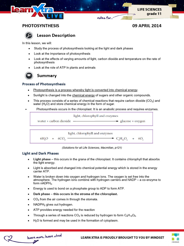 Life Sciences Gr11 Notes Photosynthesis | PDF | Photosynthesis ...