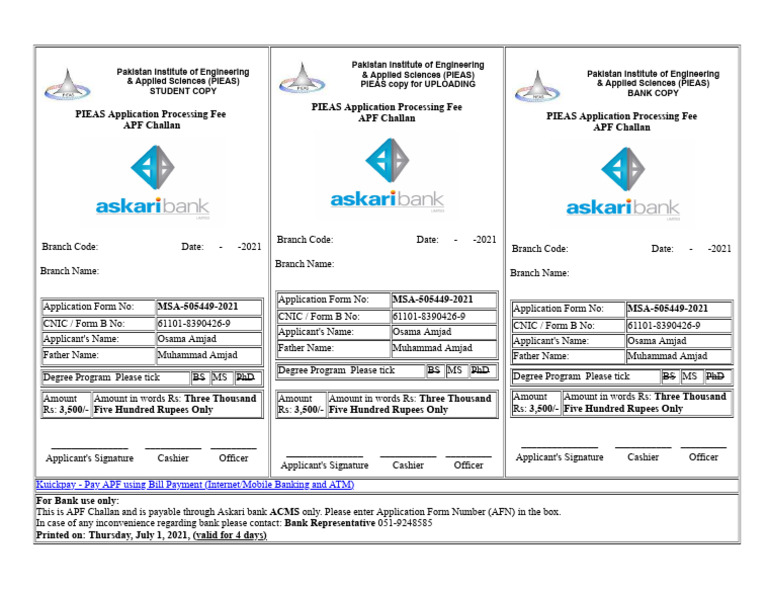 Pieas | PDF | Financial Services | Services (Economics)