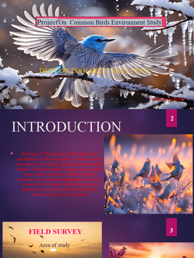 Bird PPT Presentation | PDF | Birds | Ornithology