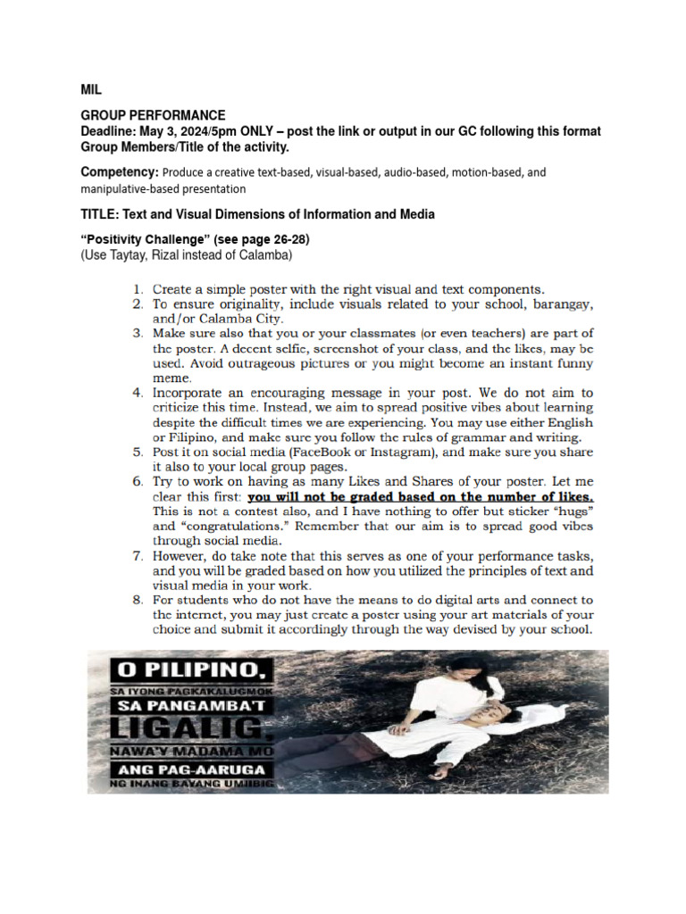 Mil q4 Performance Dimensions of Media 1 2 | PDF | Multimedia | Information