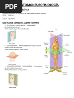 Términos de Relación, Comparación y Lateralidad de Anatomía | PDF ...