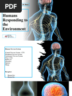 Physics Grade 12 Formula Sheet Pdf Mass Electronvolt