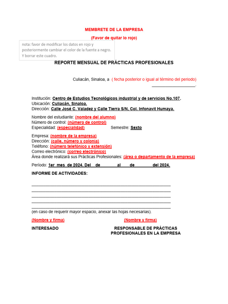 Reporte Mensual de Prácticas 2024 | PDF | Industrias de servicio