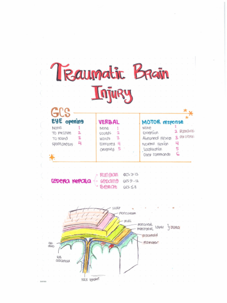 Neurosurgery Notes Lecture | PDF