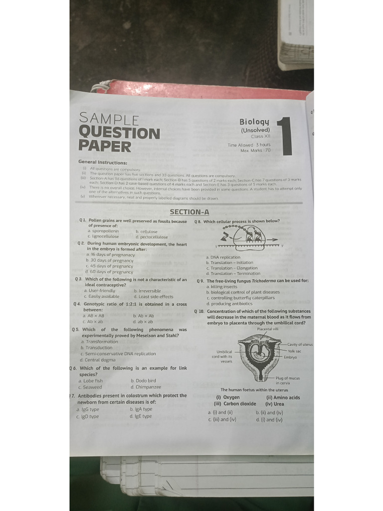 Sample Paper 1 | PDF