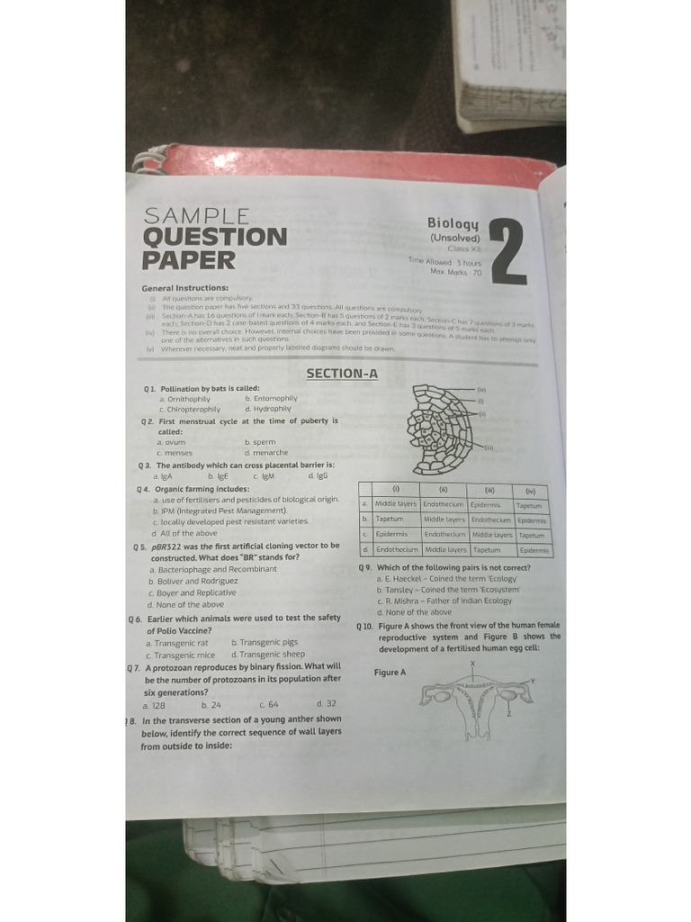 Sample Paper 2 | PDF