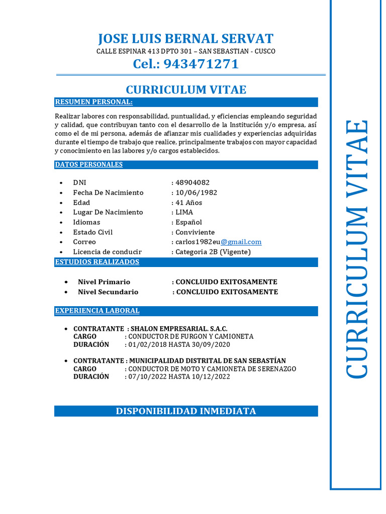 CV jOSE LUIS | PDF | Crecimiento personal y profesional