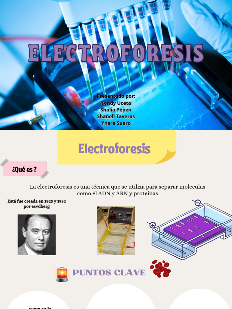Electroforesis: Separación de Proteínas Sanguíneas | PDF | Sangre ...