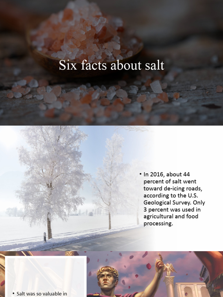 Fascinating Salt Facts | PDF