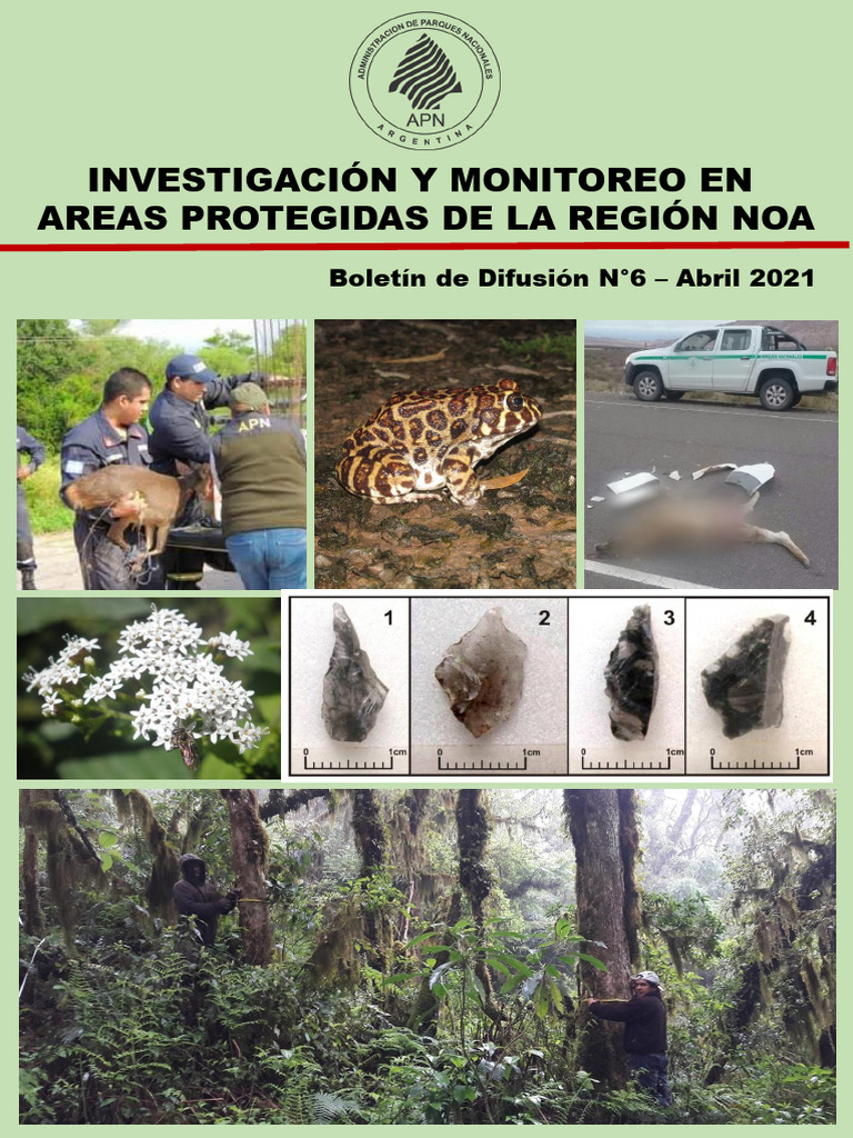 Blundo 2021 | PDF | Los bosques | Selva