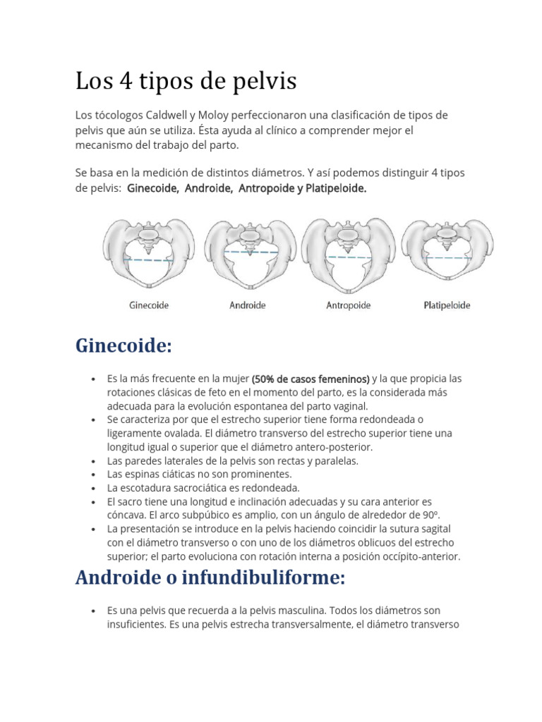 Los 4 Tipos De Pelvis Pdf Pelvis Parto