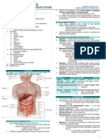 Overview of Splanchnology and Viscera | PDF | Abdomen | Human Digestive ...