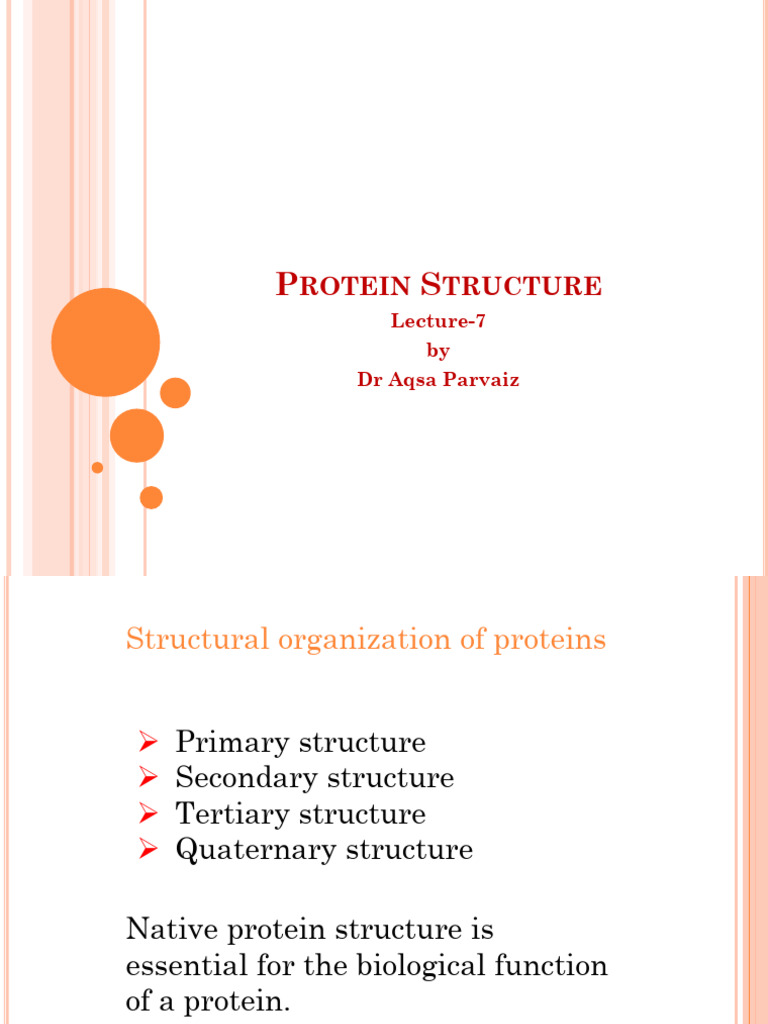 L7 - Protein Structure | PDF | Beta Sheet | Protein Structure