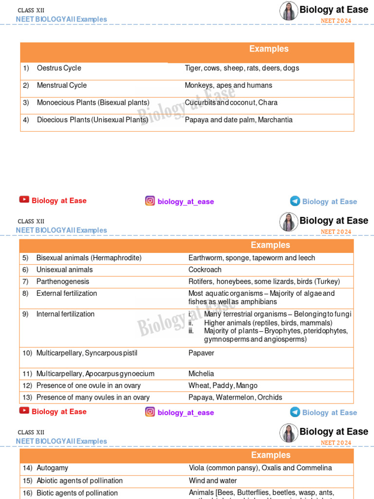 BIOLOGY All Examples | PDF | Hormone | Fruit