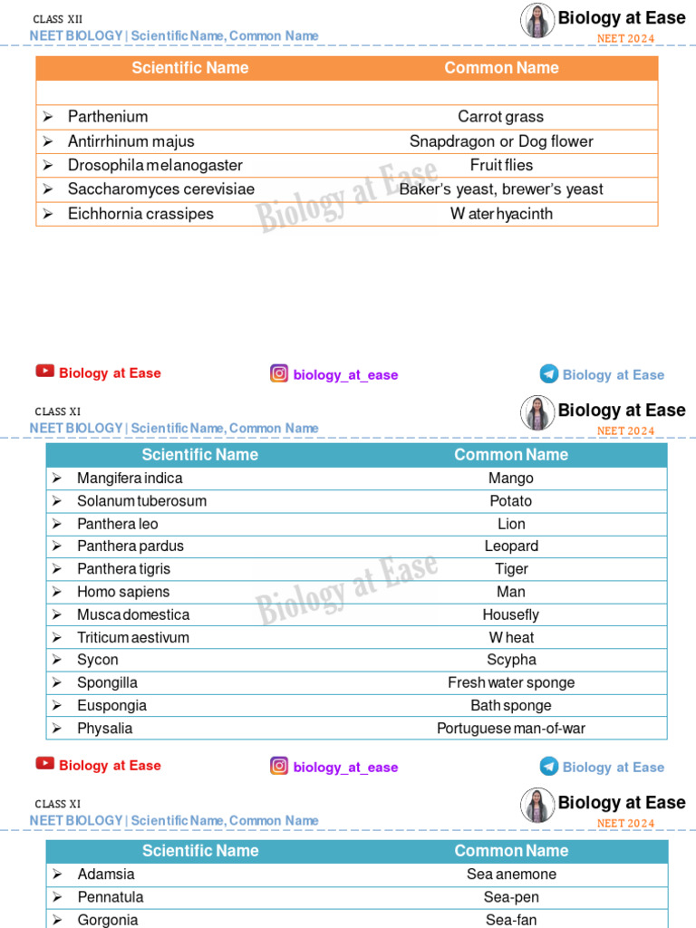 NEET Biology: Scientific & Common Names | PDF