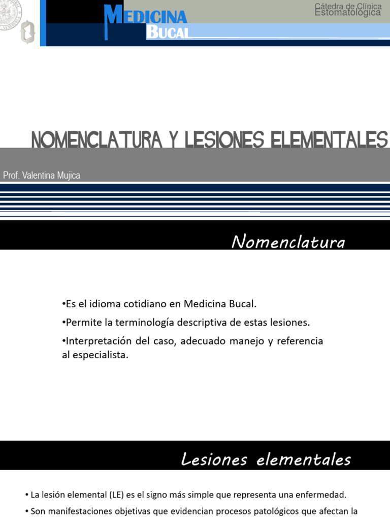 Nomenclatura y Lesiones Elementales Junio 23 | PDF | Epitelio | Especialidades Medicas