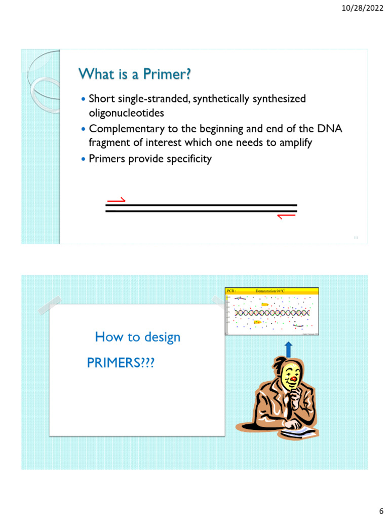 L6 - Primer Designing-1 | PDF | Primer (Molecular Biology) | Nucleic Acid Thermodynamics