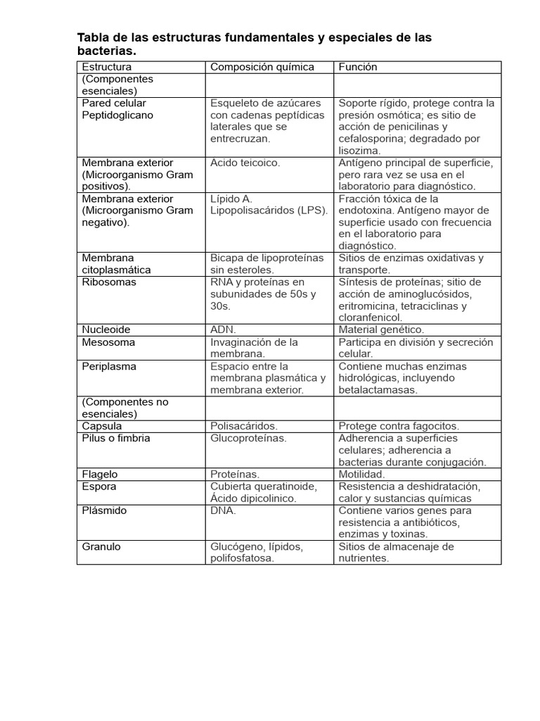 Tabla de Las Estructuras Fundamentales y Especiales de Las Bacterias | PDF | Membrana celular ...