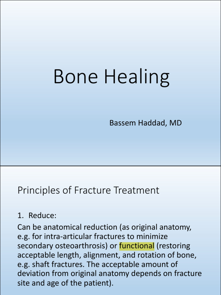 Bone Healing | PDF | Bone | Skeletal System