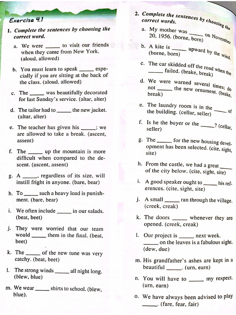 11 Plus Grammar | PDF