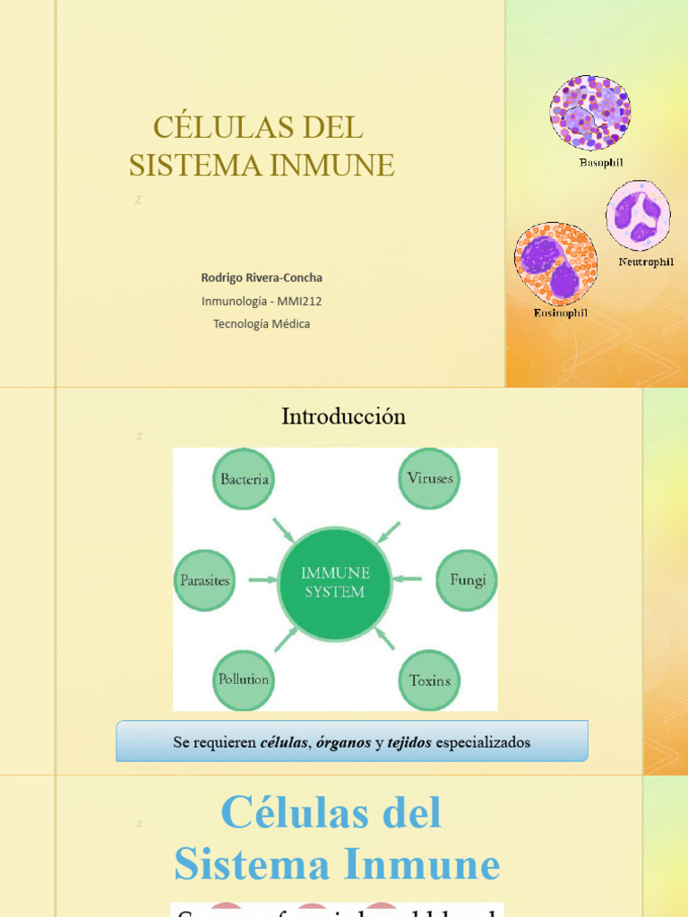2 Clase - Células Del Sistema Inmune 2023 TEC MED | PDF | Linfocitos | Hematopoyesis