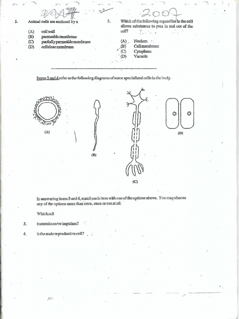 Csec HSB 2007 P1 | PDF