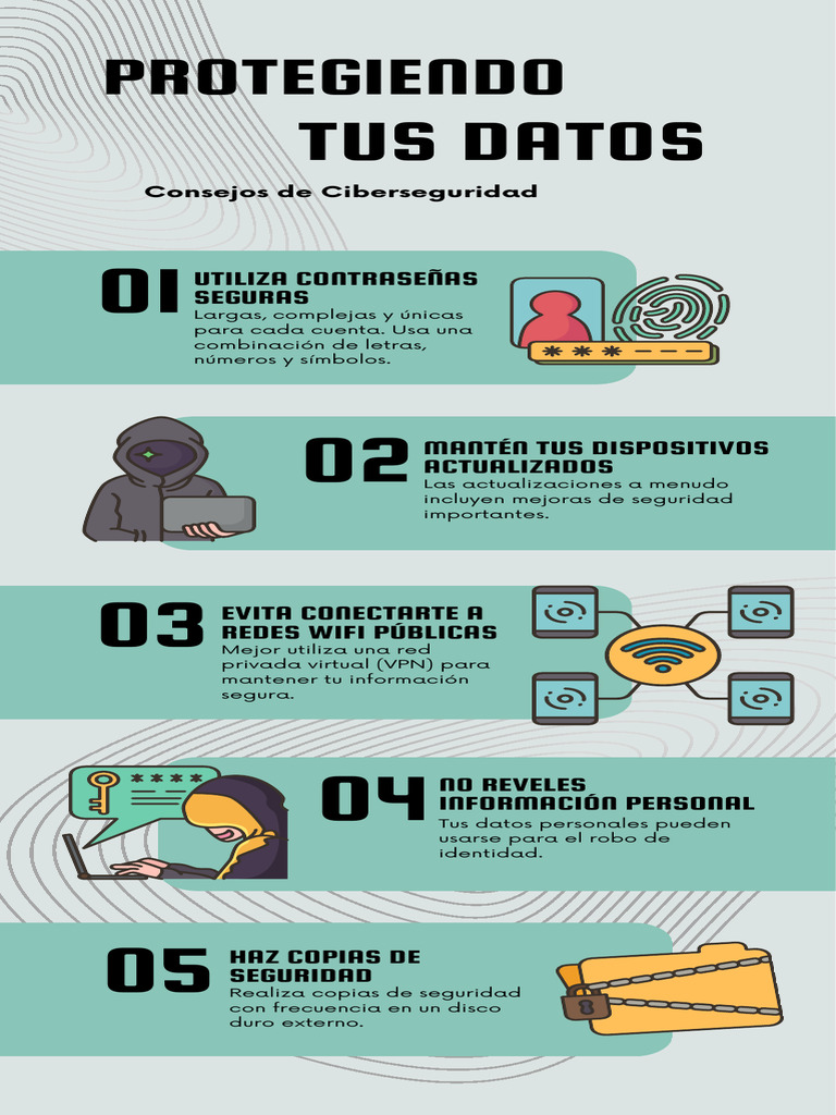 Infografía Ciberseguridad Internet | PDF