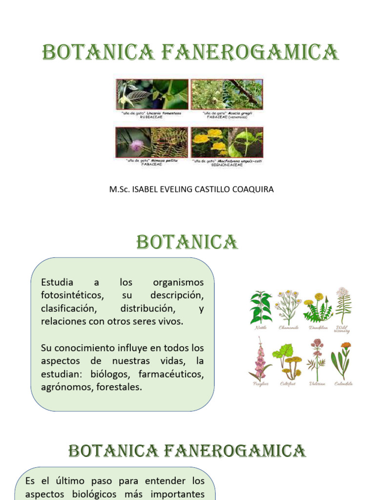 BOTANICA | PDF